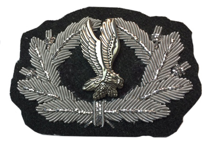 StanWings.Com - Insignia of the U.S.A.