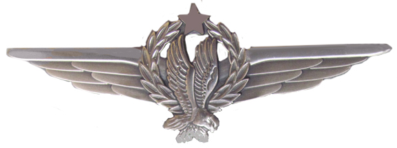 StanWings.Com - Insignia of the U.S.A.