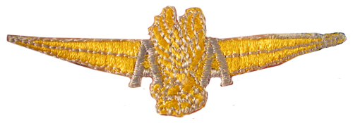 StanWings.Com - Insignia of the U.S.A.