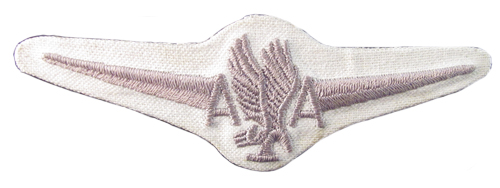 StanWings.Com - Insignia of the U.S.A.