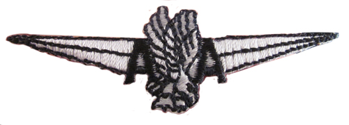 StanWings.Com - Insignia of the U.S.A.