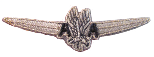 StanWings.Com - Insignia of the U.S.A.