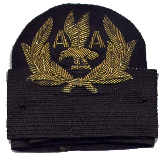StanWings.Com - Insignia of the U.S.A.