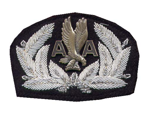 StanWing.Com - Insignia of the U.S.A.