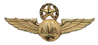StanWings.Com - Insignia of the U.S.A.