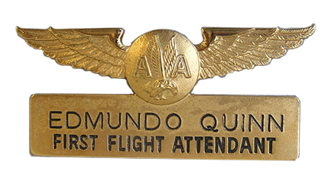 StanWings.Com - Insignia of the U.S.A.