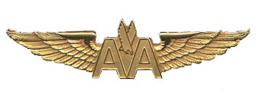StanWings.Com - Insignia of the U.S.A.