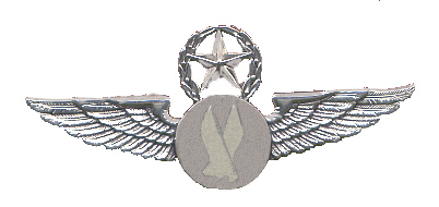 StanWing.Com - Insignia of the U.S.A.