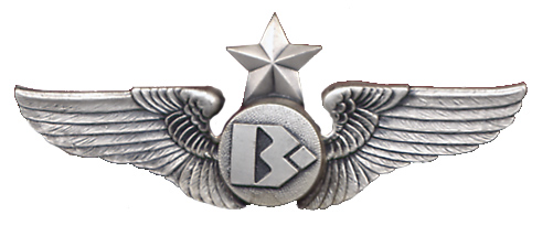StanWing.Com - Insignia of the U.S.A.