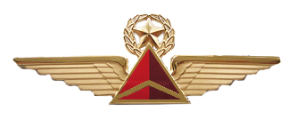 StanWing.Com - Insignia of the U.S.A.