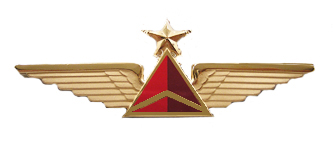 StanWing.Com - Insignia of the U.S.A.