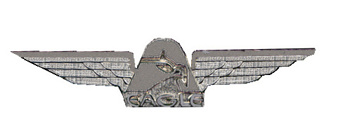 StanWing.Com - Insignia of the U.S.A.