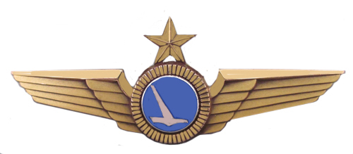 StanWing.Com - Insignia of the U.S.A.