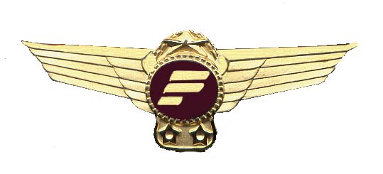 StanWing.Com - Insignia of the U.S.A.