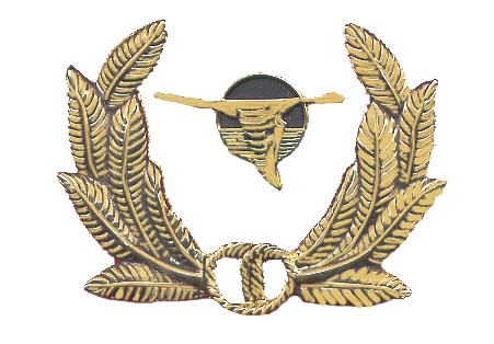 StanWing.Com - Insignia of the U.S.A.