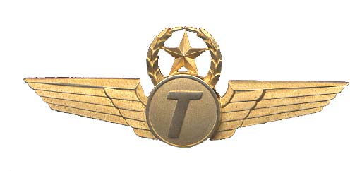 StanWings.Com - Insignia of the U.S.A.